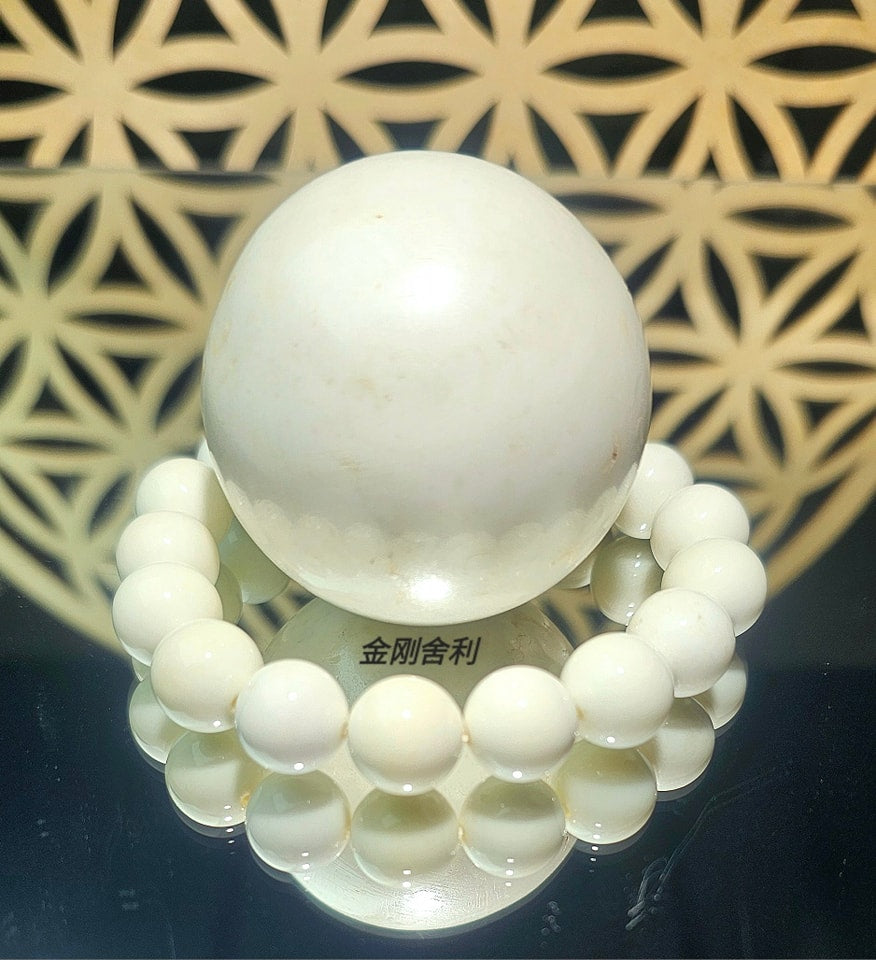 Dragon Palace Relic Stone – Living Gems SG