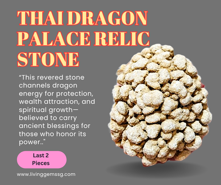 Thai Dragon Palace Relic Stone – Living Gems SG
