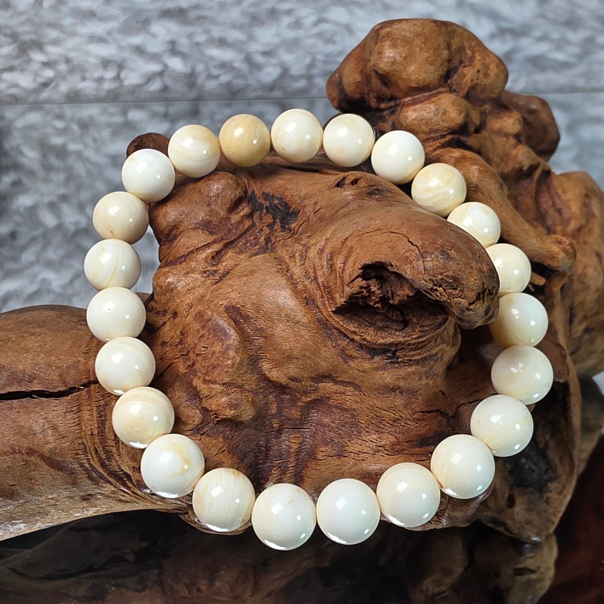 Wood Grain Tridacna Bracelet – Grounding, Protection & Natural Eleganc ...